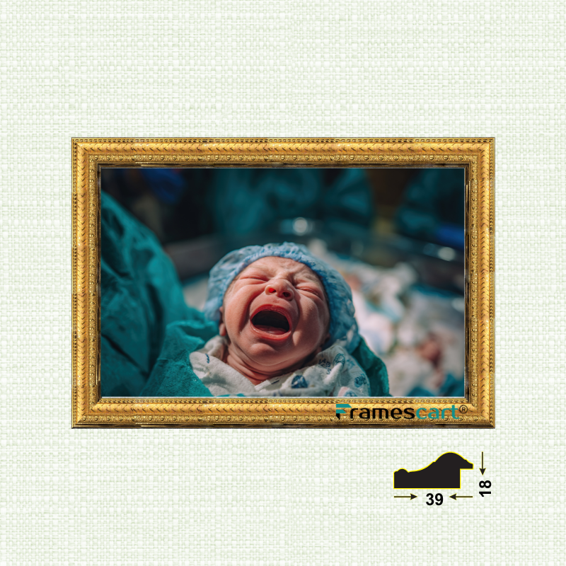 Border Frame 222-06R Box – Framescart